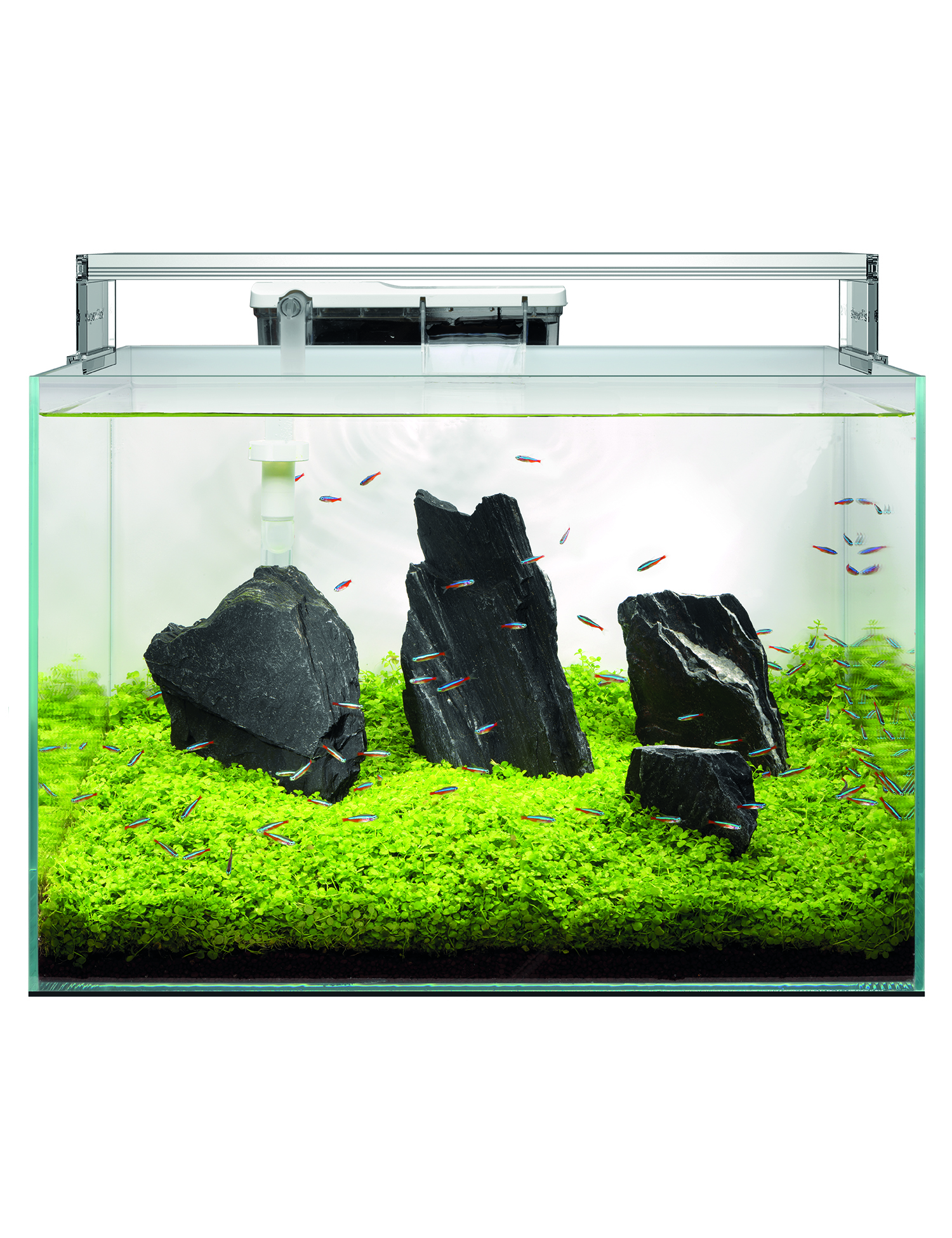 SuperFish Scaper 45 akvariesæt, 45 L, L45xB32xH32 cm | Plantorama