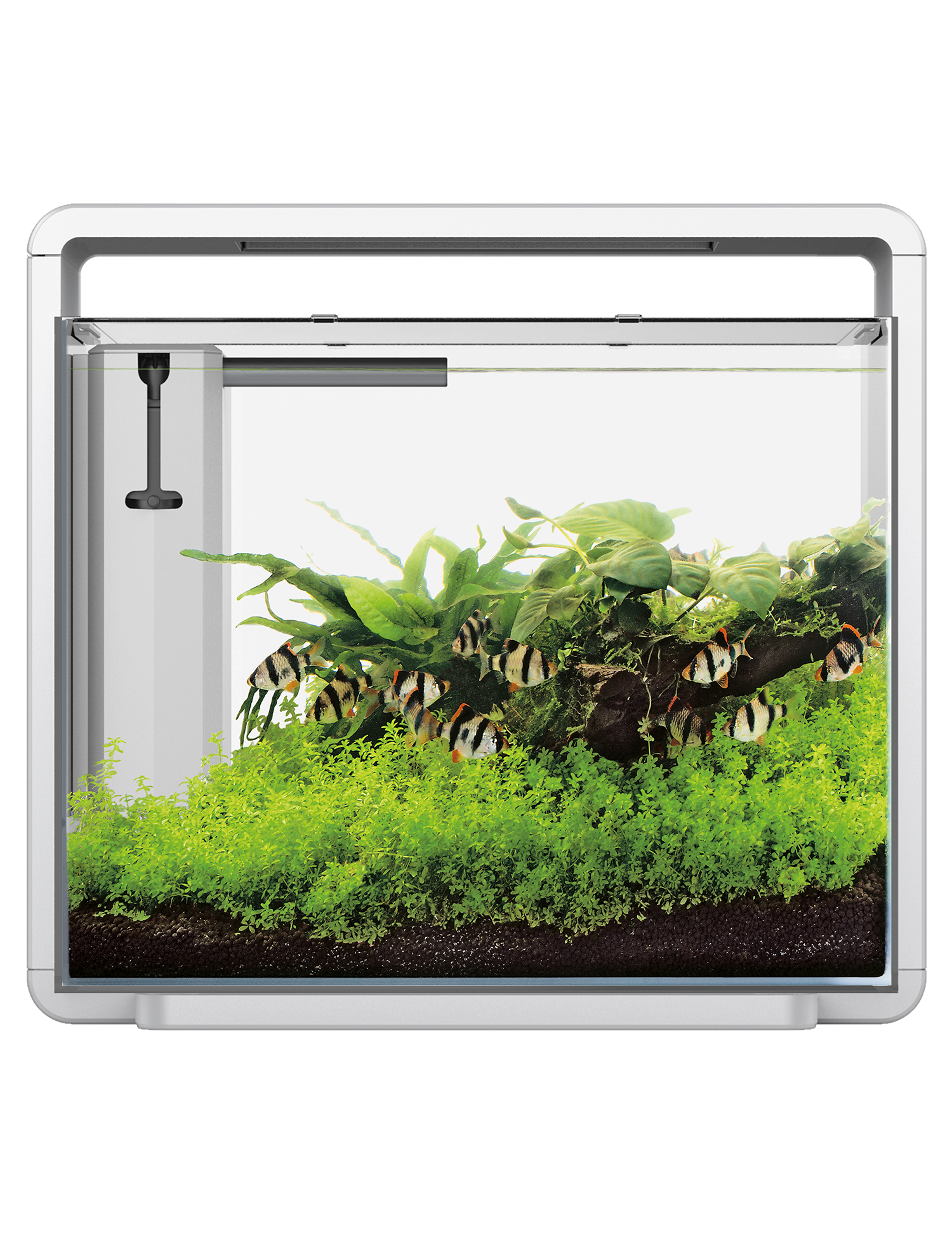SuperFish Home 45 akvarium, 40 L, L46,5xD25xH42,5 cm, hvid | Plantorama