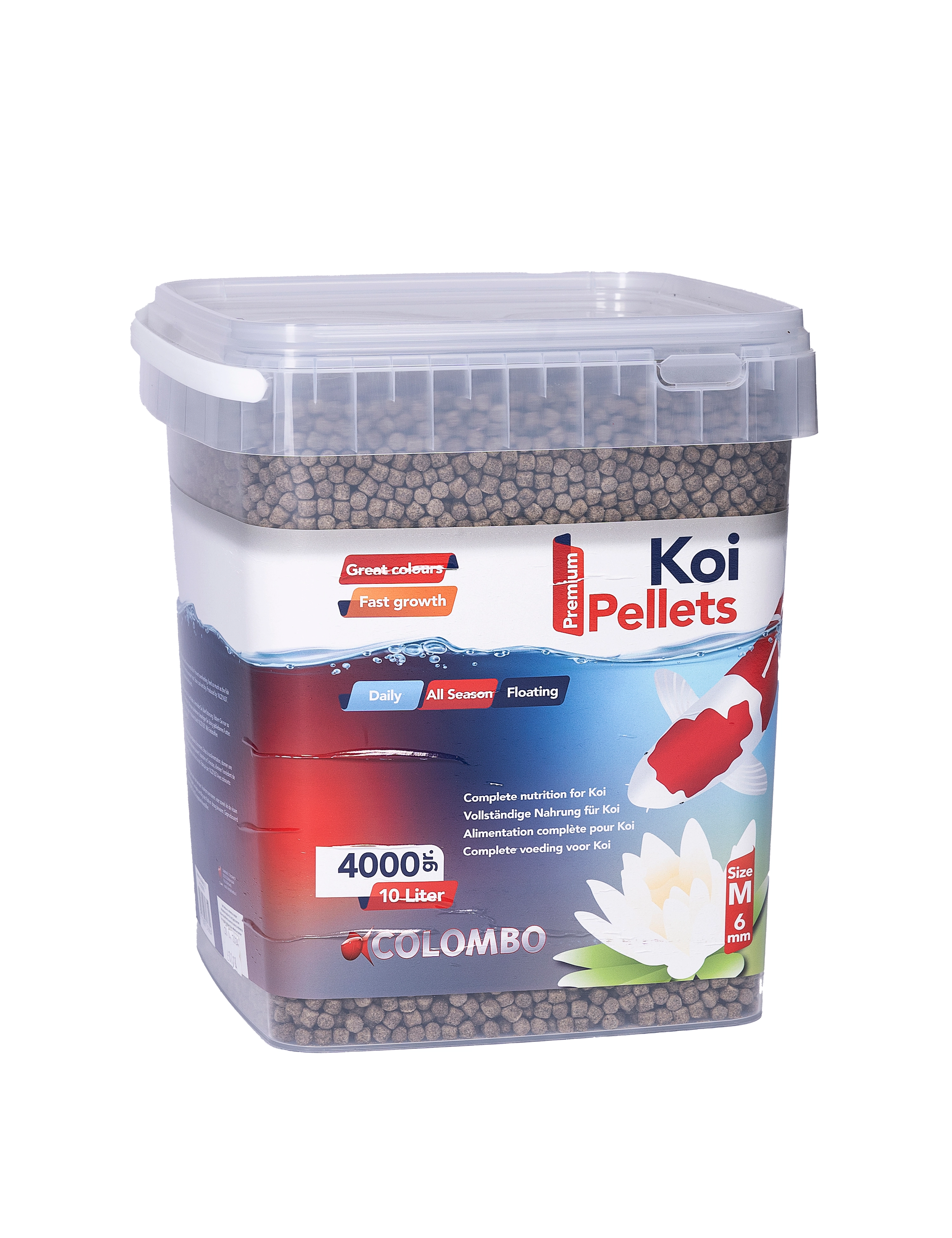 Colombo Koi Medium 10L | Plantorama