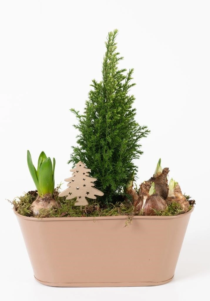 Kurv Kurv | Plantorama