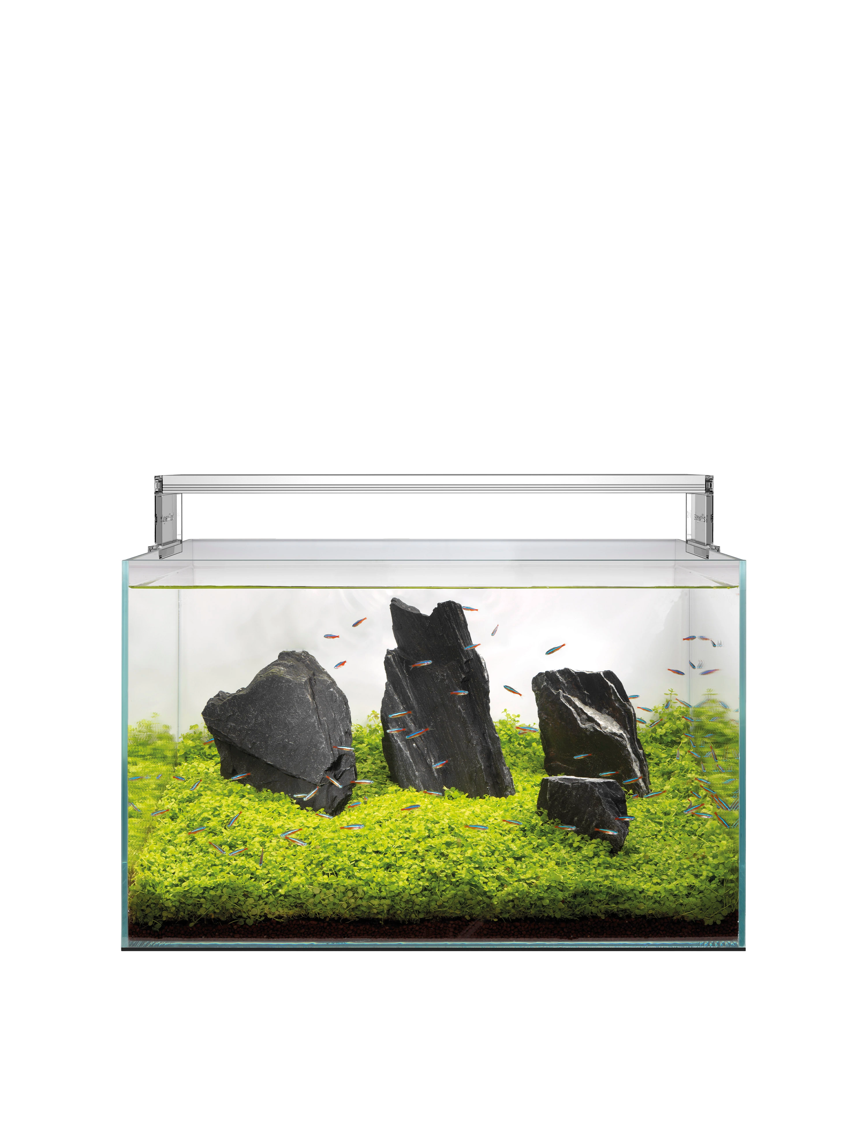 SuperFish Scaper 140 akvarie L80,1xB48,9xH41 cm | Plantorama