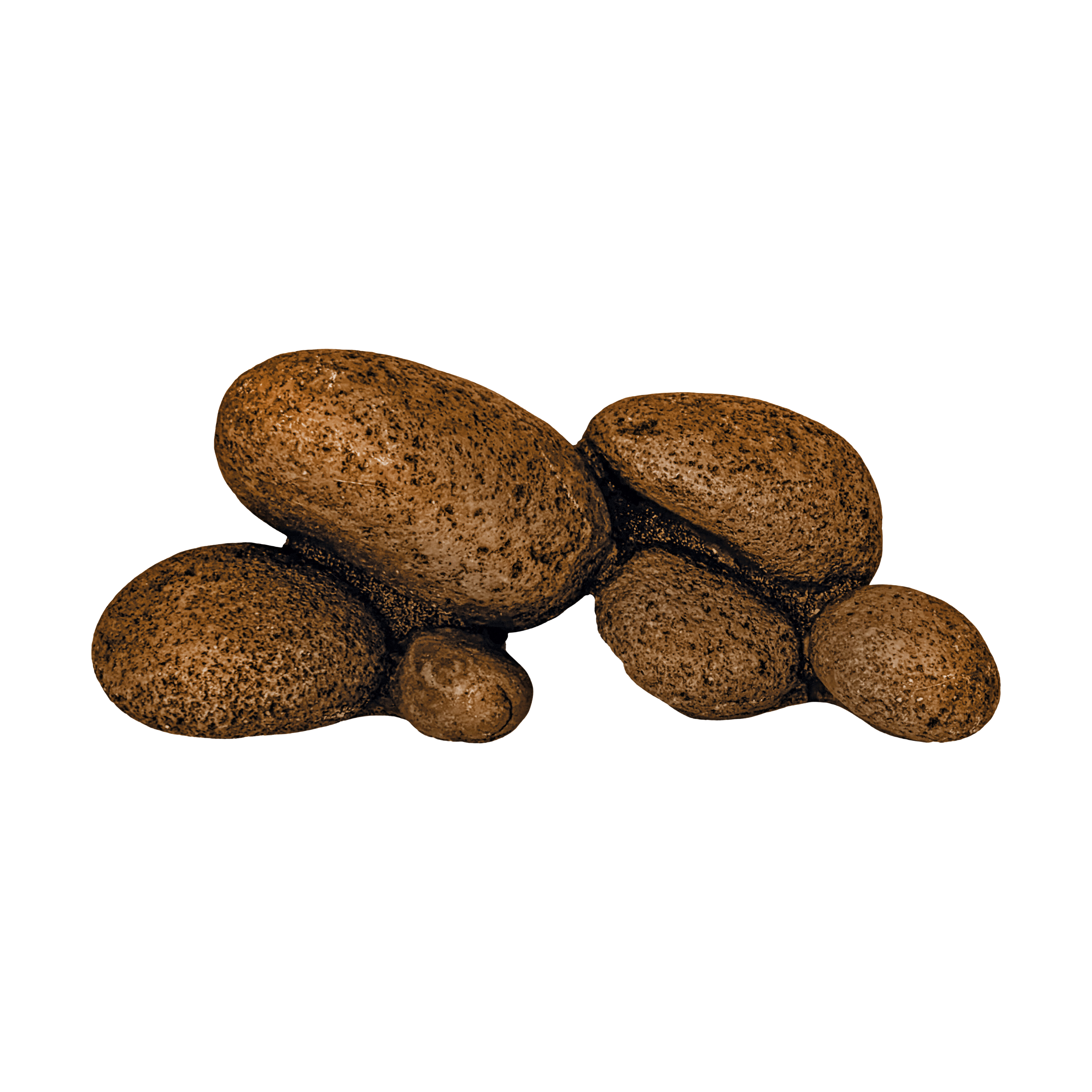 Repto Deco Rock Formation, brun | Plantorama