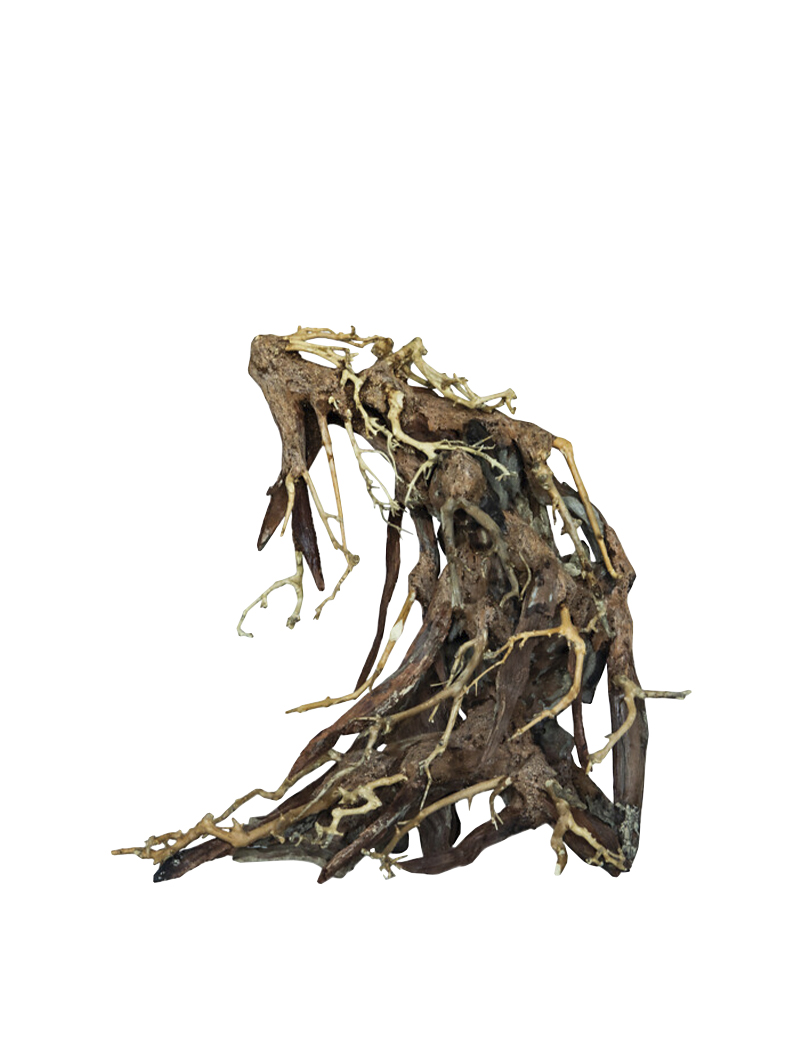SuperFish Bonsai rod i drivtømmer akvariedekoration L | Plantorama