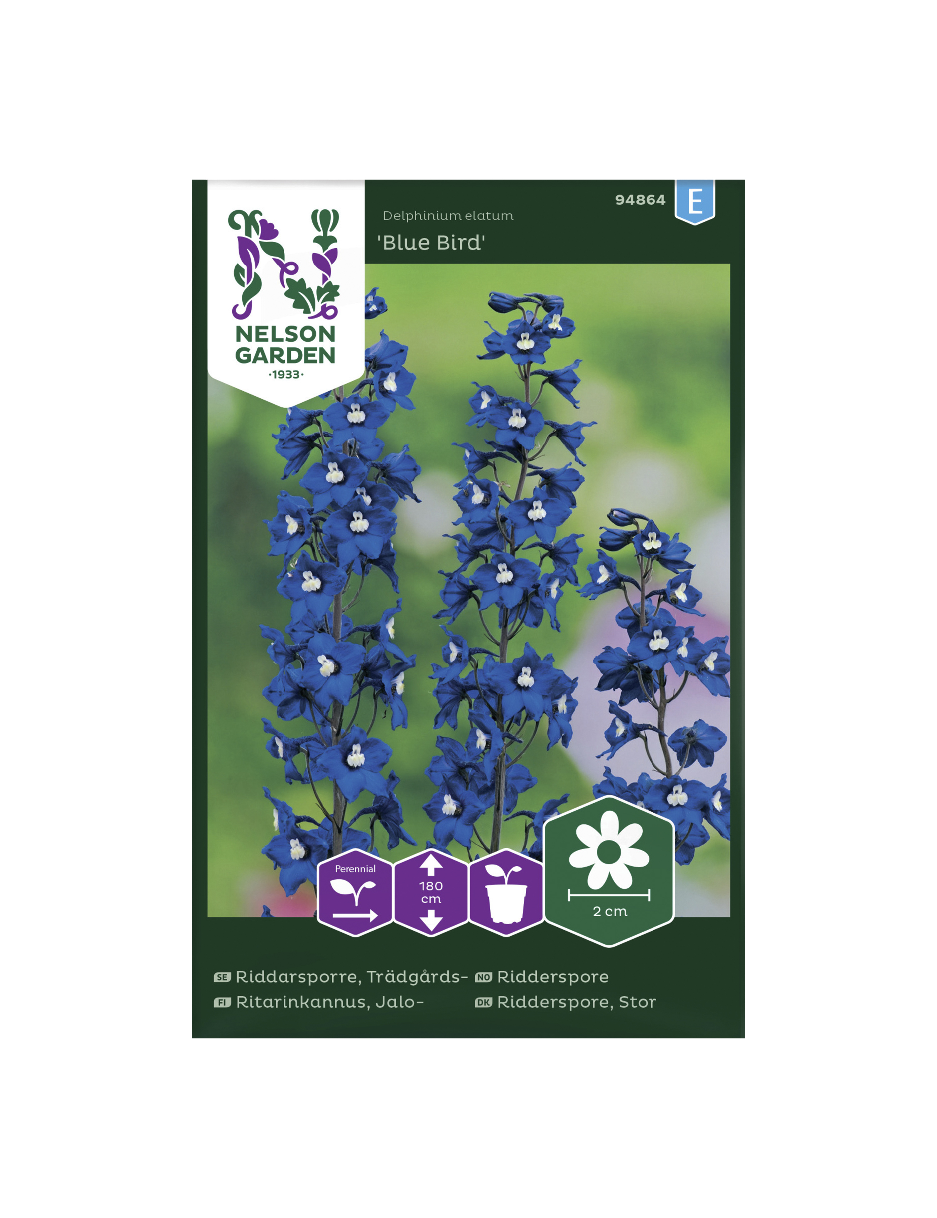Stor ridderspore frø, Delphinium elatum. 'Blue Bird' | Plantorama