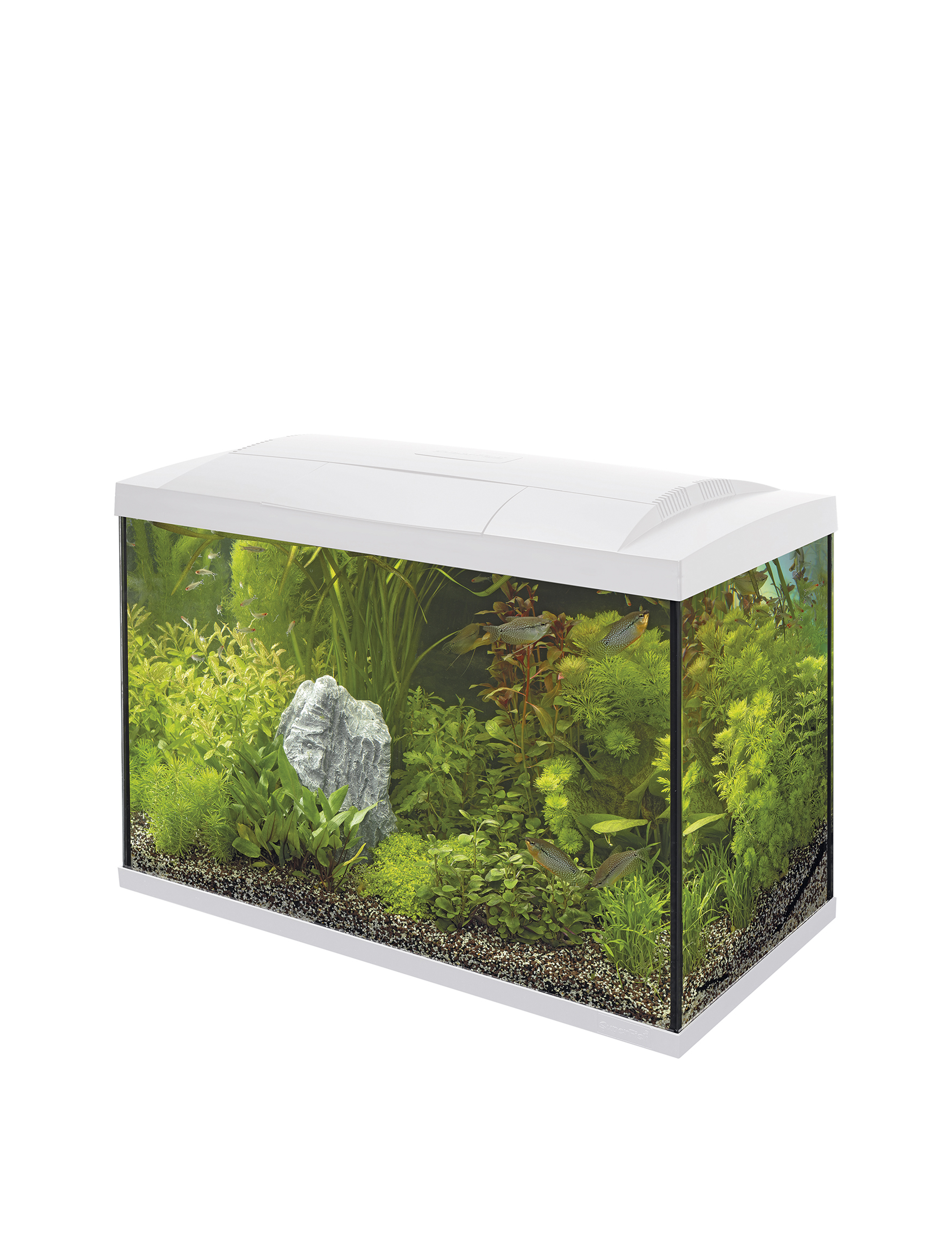 SuperFish Start 70 Tropical akvariestartsæt 60 L, L58xB30xH45 cm, hvid ...