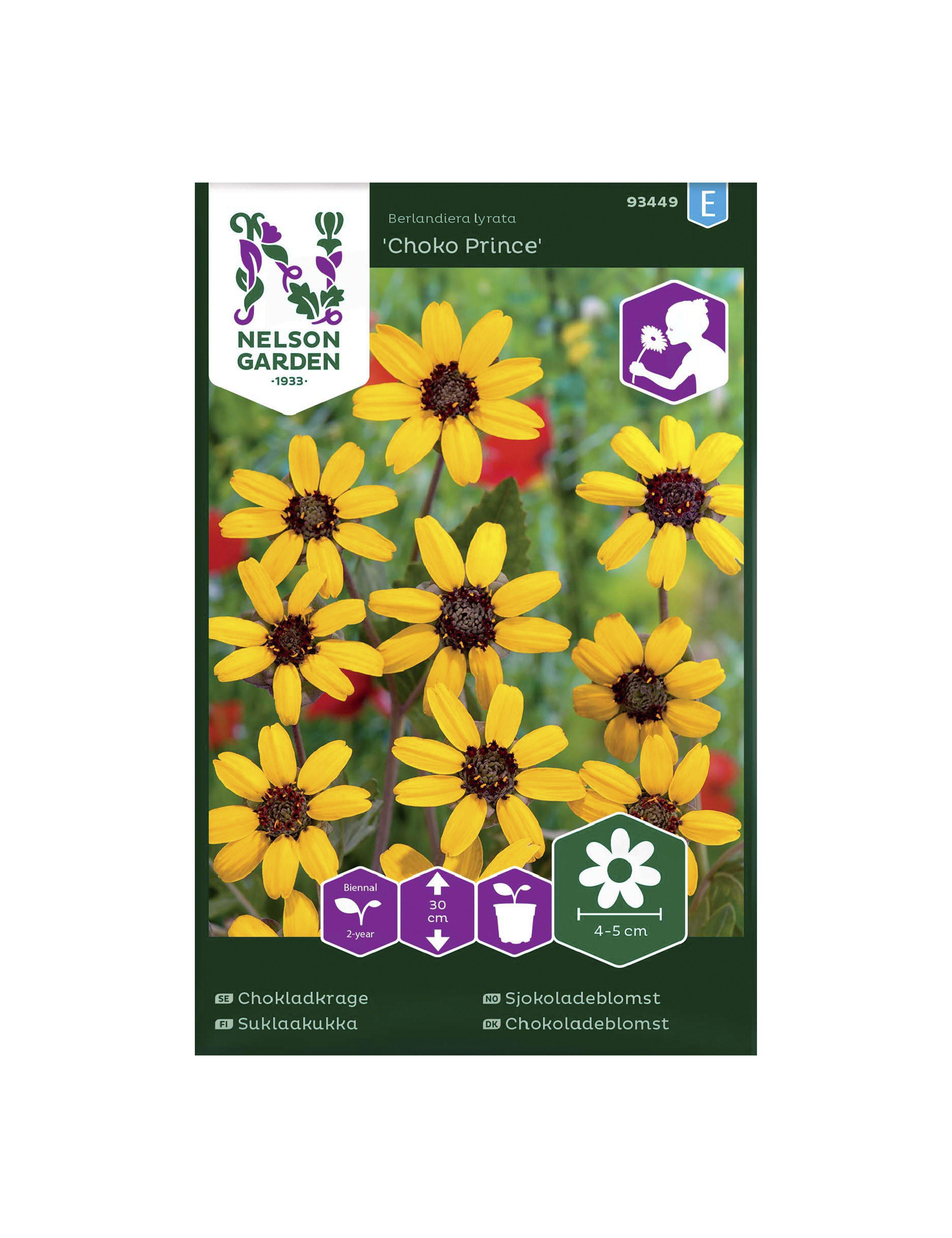 Chokoladeblomst frø, Berlandiera lyr. 'Choko Prince' | Plantorama