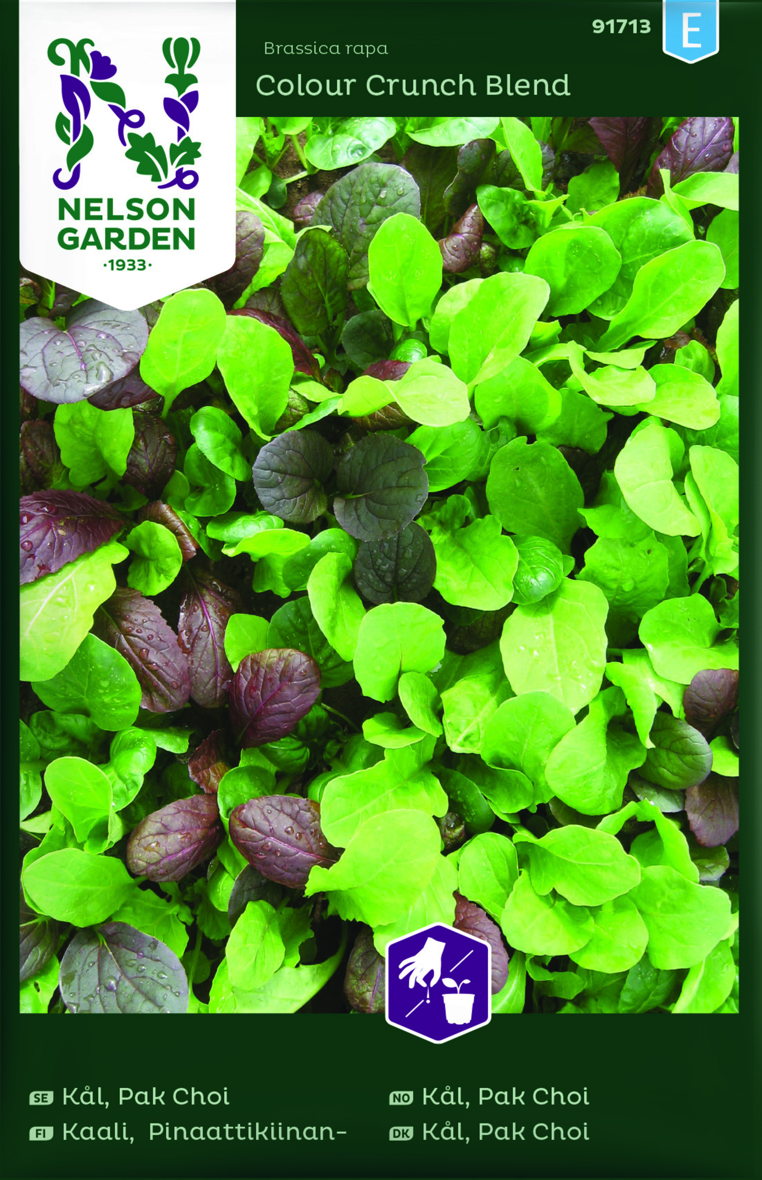 Nelson Garden Pak Choi Brassica rapa 'Colour Crunch Blend' Grøntsags ...