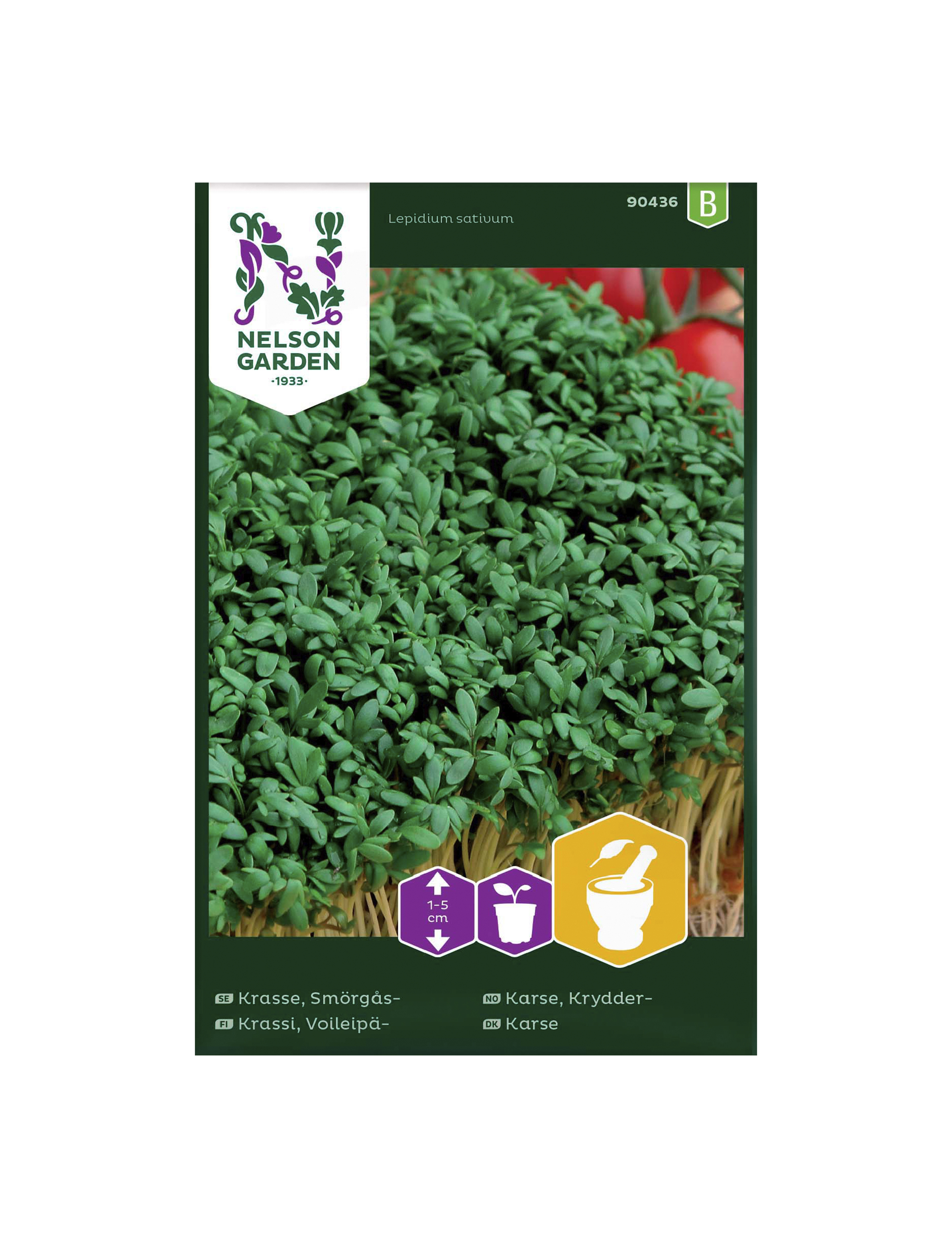 Karse frø, Lepidium sativum | Plantorama