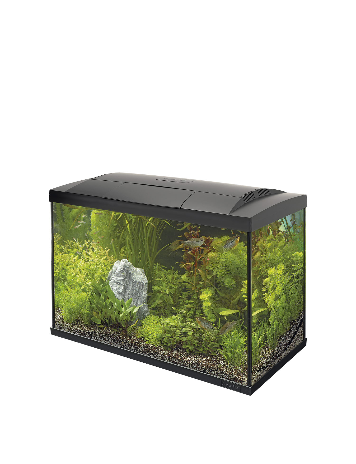 SuperFish Start 70 Tropical akvariestartsæt 60 L, L58xB30xH45 cm, sort ...