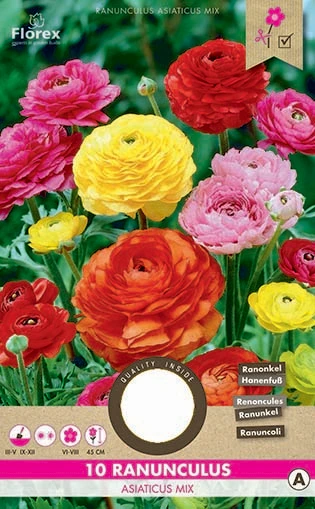 Ranunkler, Ranunculus mix. Pakke med 15 løg | Plantorama