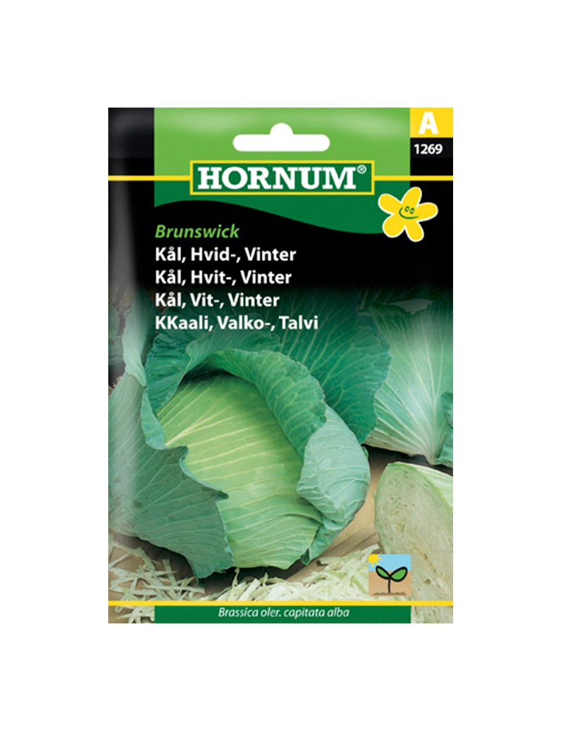 Vinter hvidkål frø, Brassica oler. capitata alba 'Golden Acre' | Plantorama
