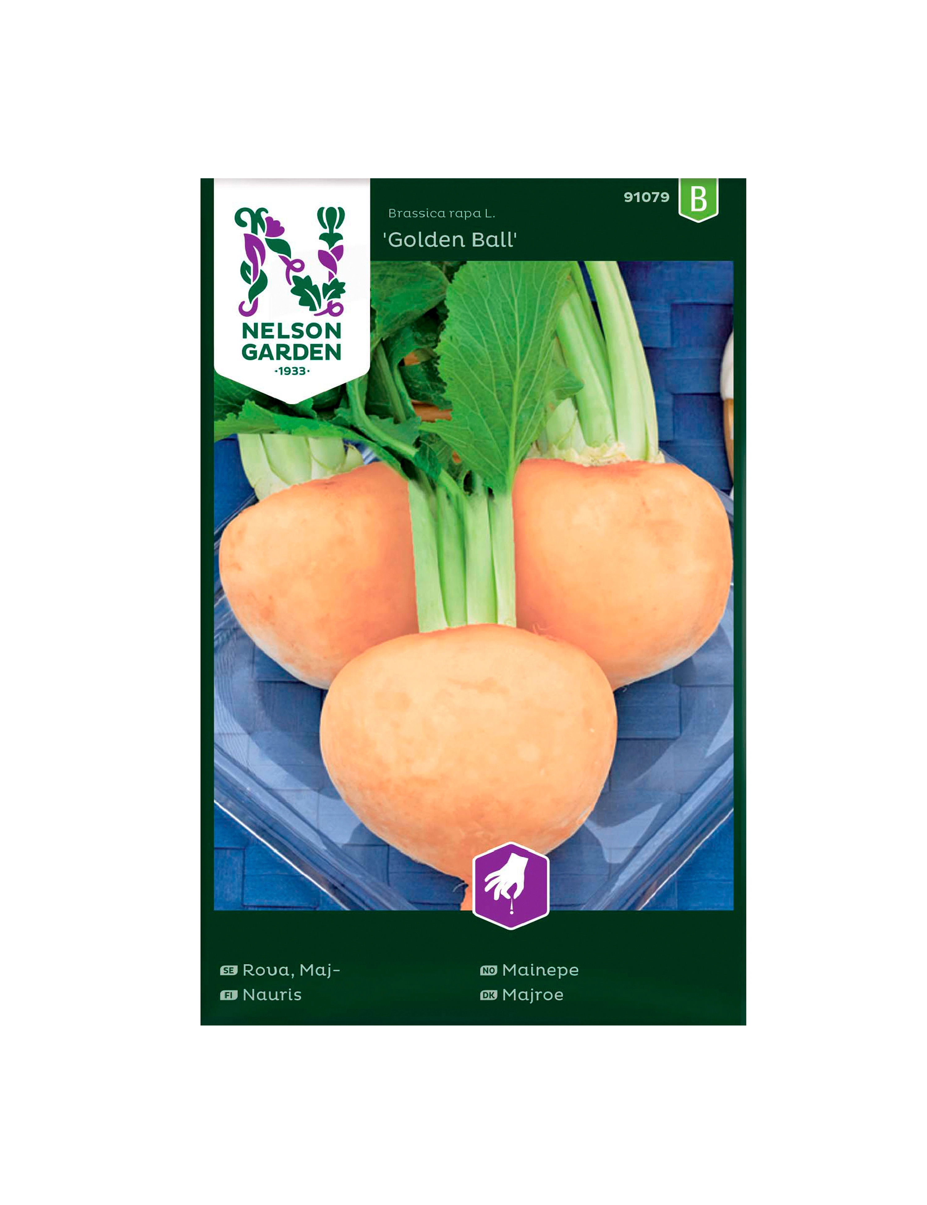 Majroe frø, Brassica rapa 'Golden Ball' | Plantorama