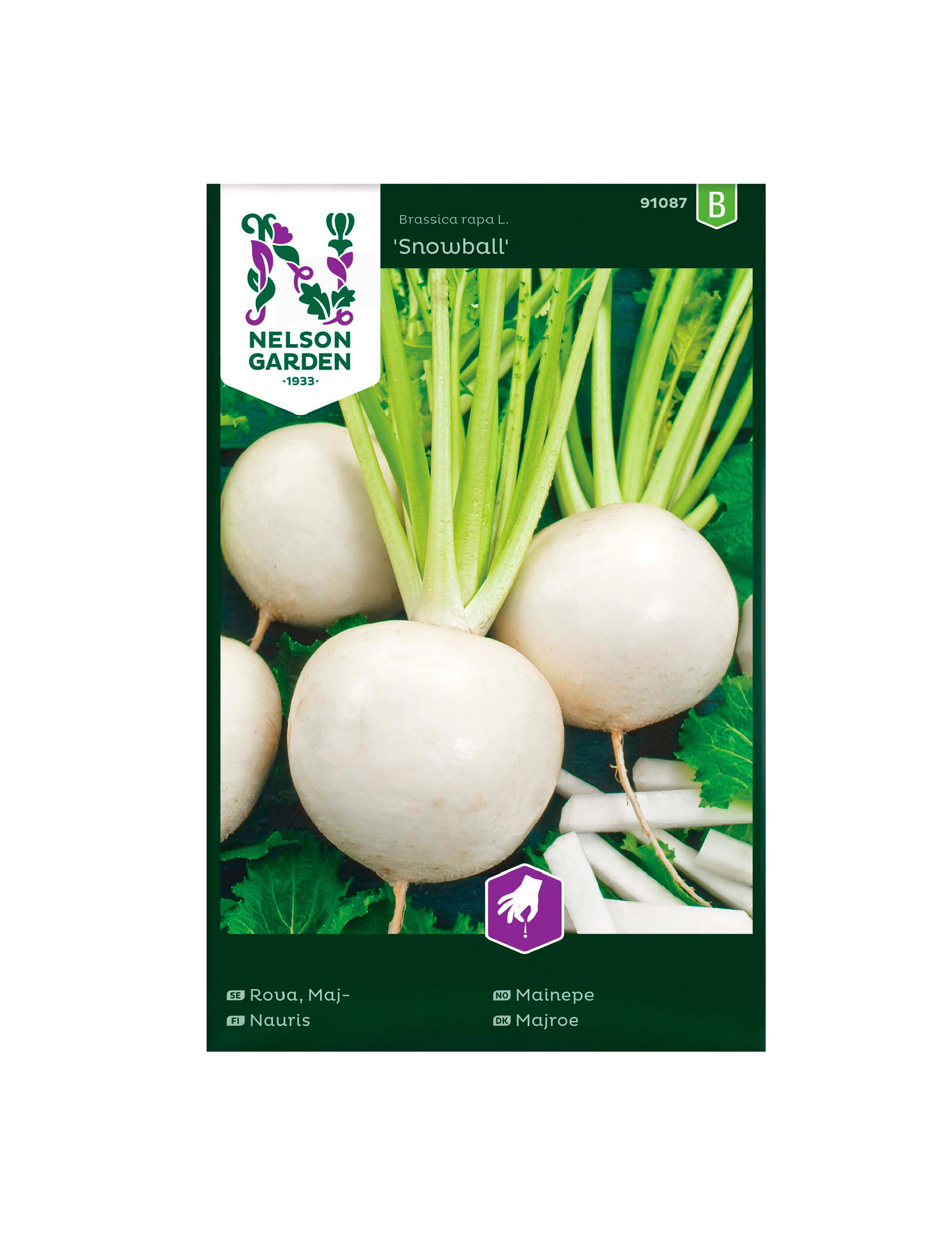 Majroe frø, Brassica rapa 'Snowball' | Plantorama