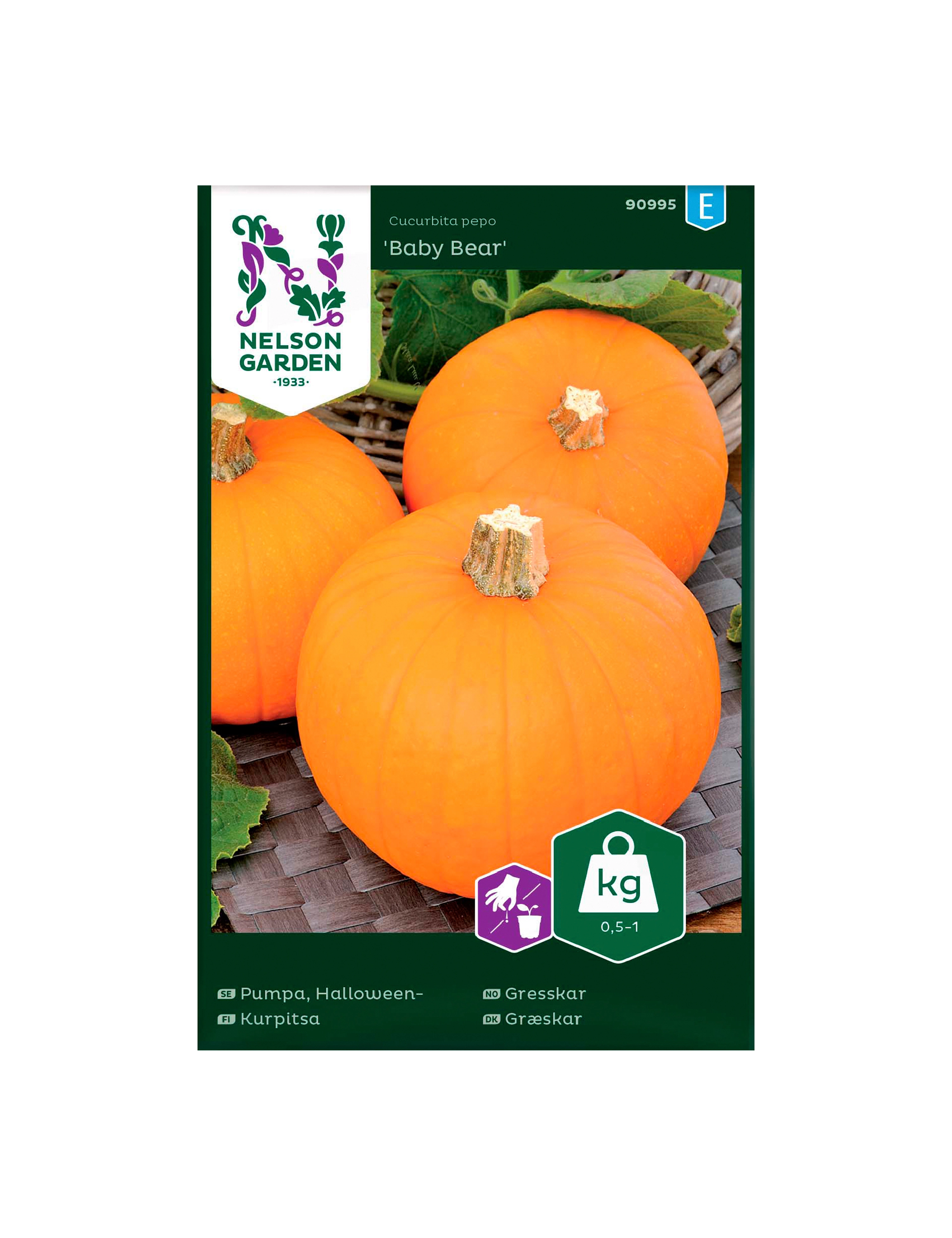 Græskar frø, Cucurbita pepo. 'Baby Bear' | Plantorama