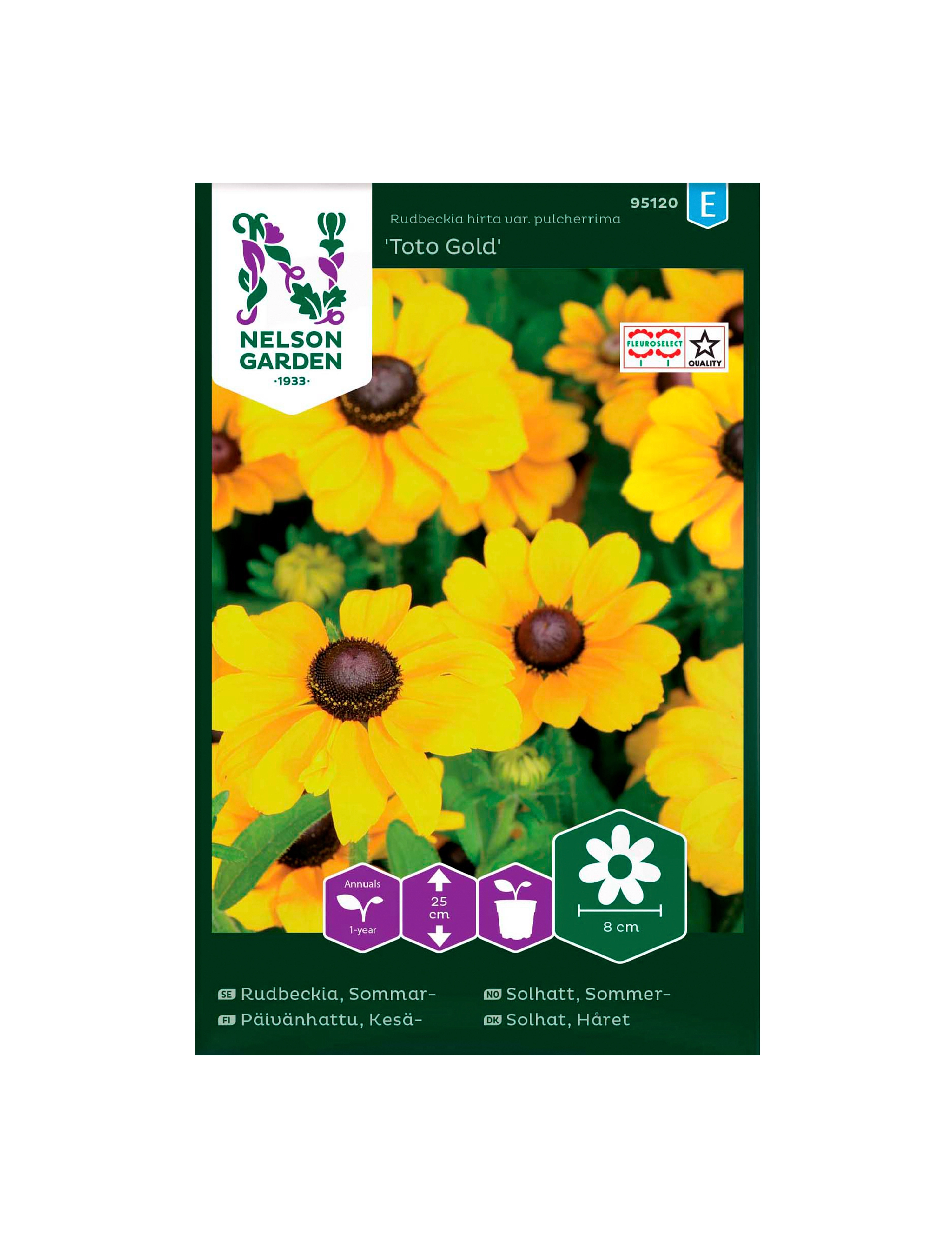 Håret solhat frø, | Plantorama