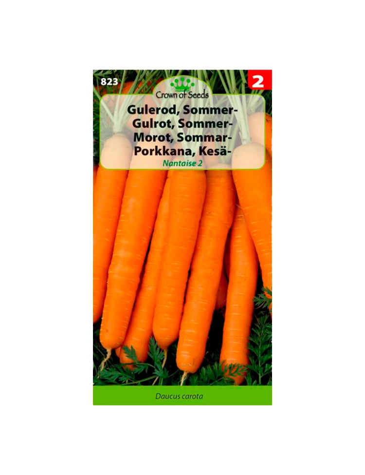 Gulerod, Sommer- | Plantorama