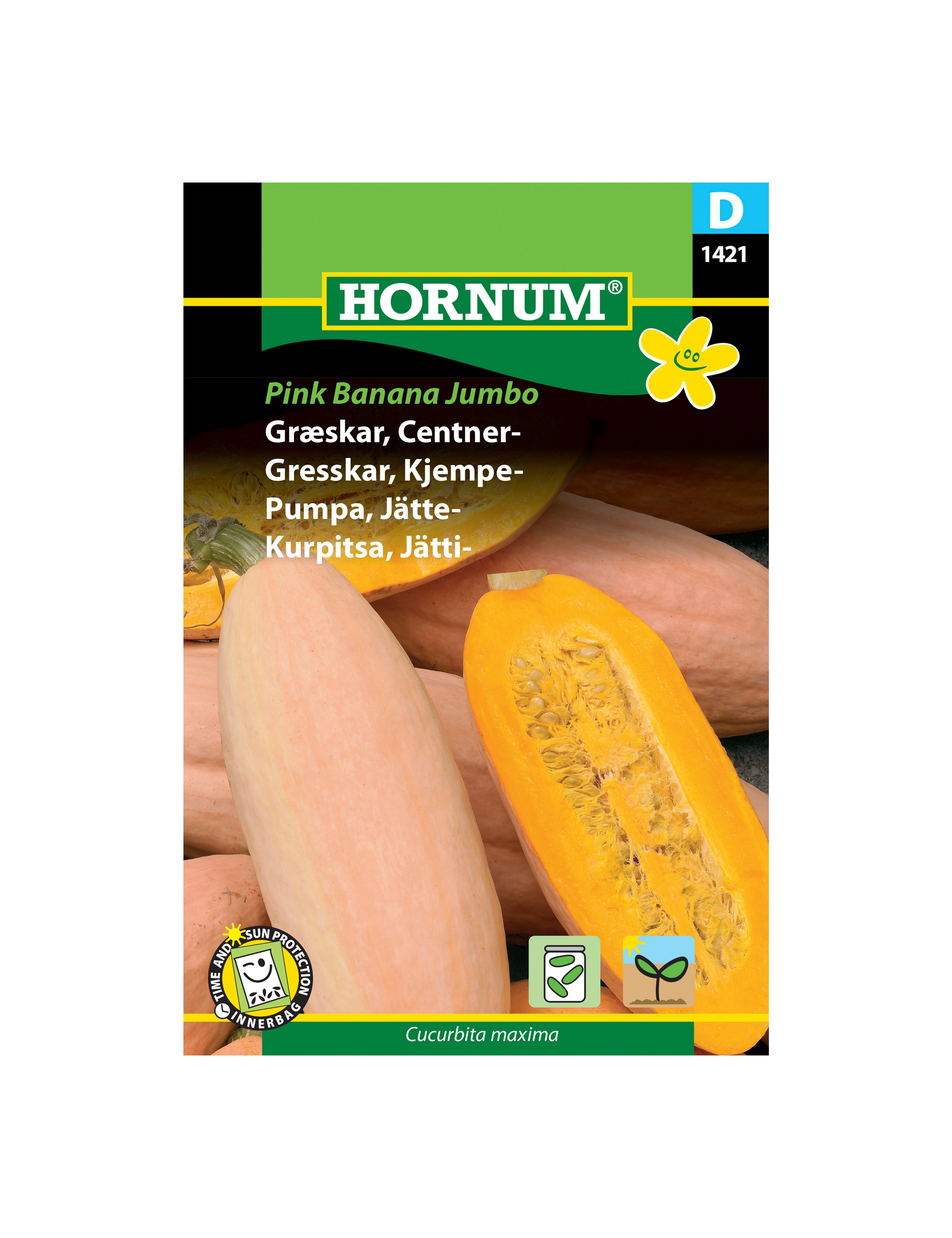 Centnergræskar frø, Cucurbita maxima 'Pink Banana Jumbo' | Plantorama