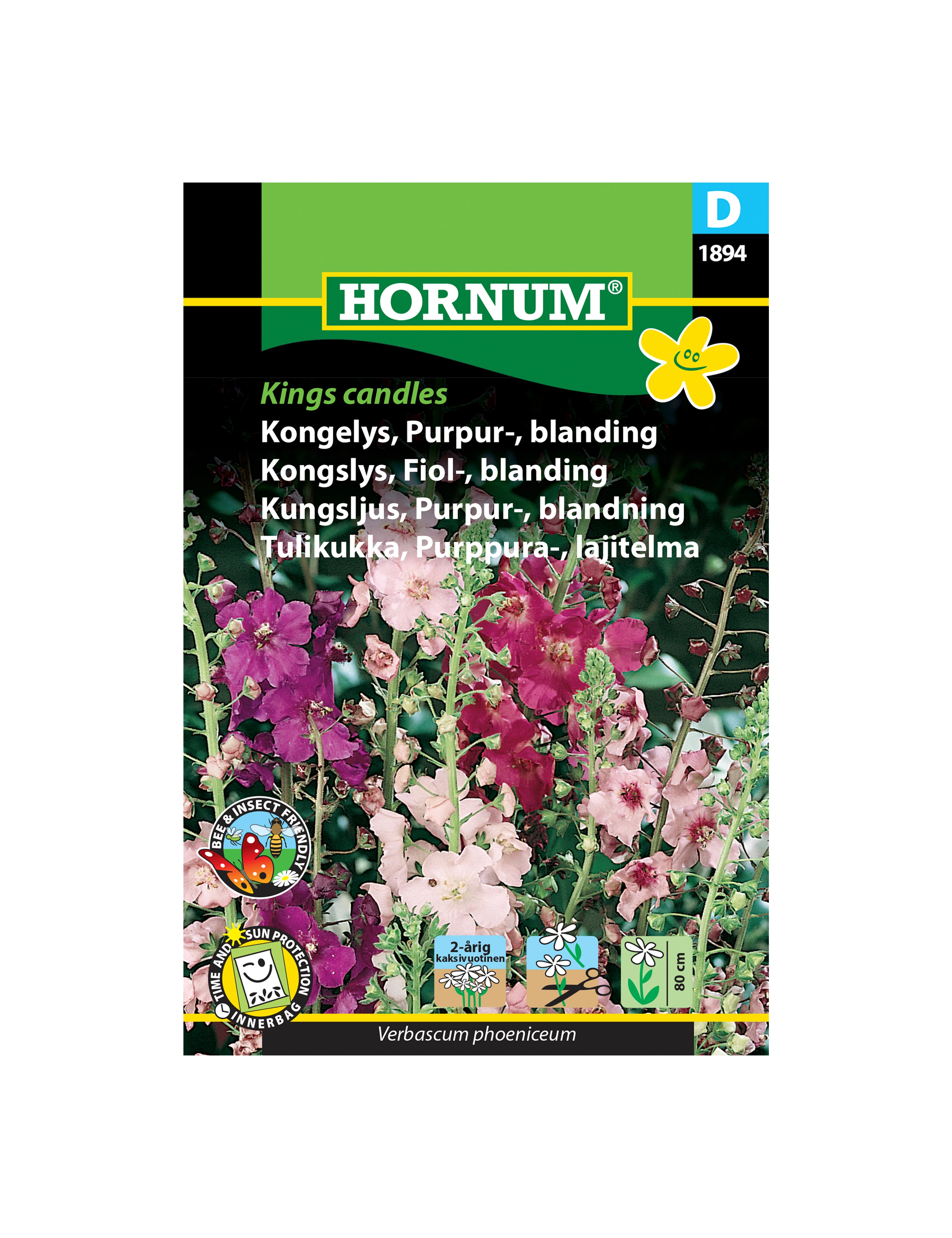 Purpur Kongelys, blanding frø, verbascum phoeniceum 'Kings candles ...