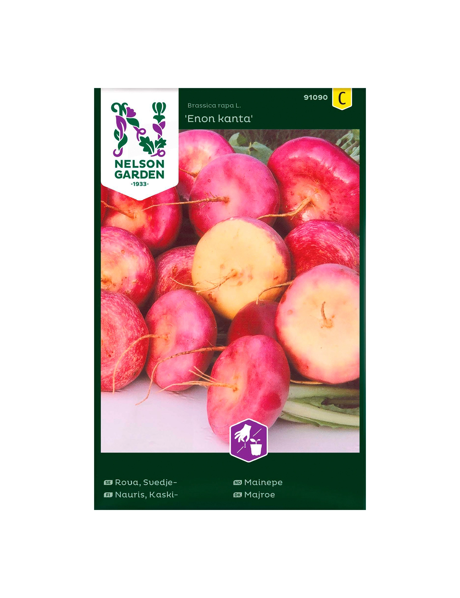 Majroe frø, Brassica rapa 'Enon kanta' | Plantorama