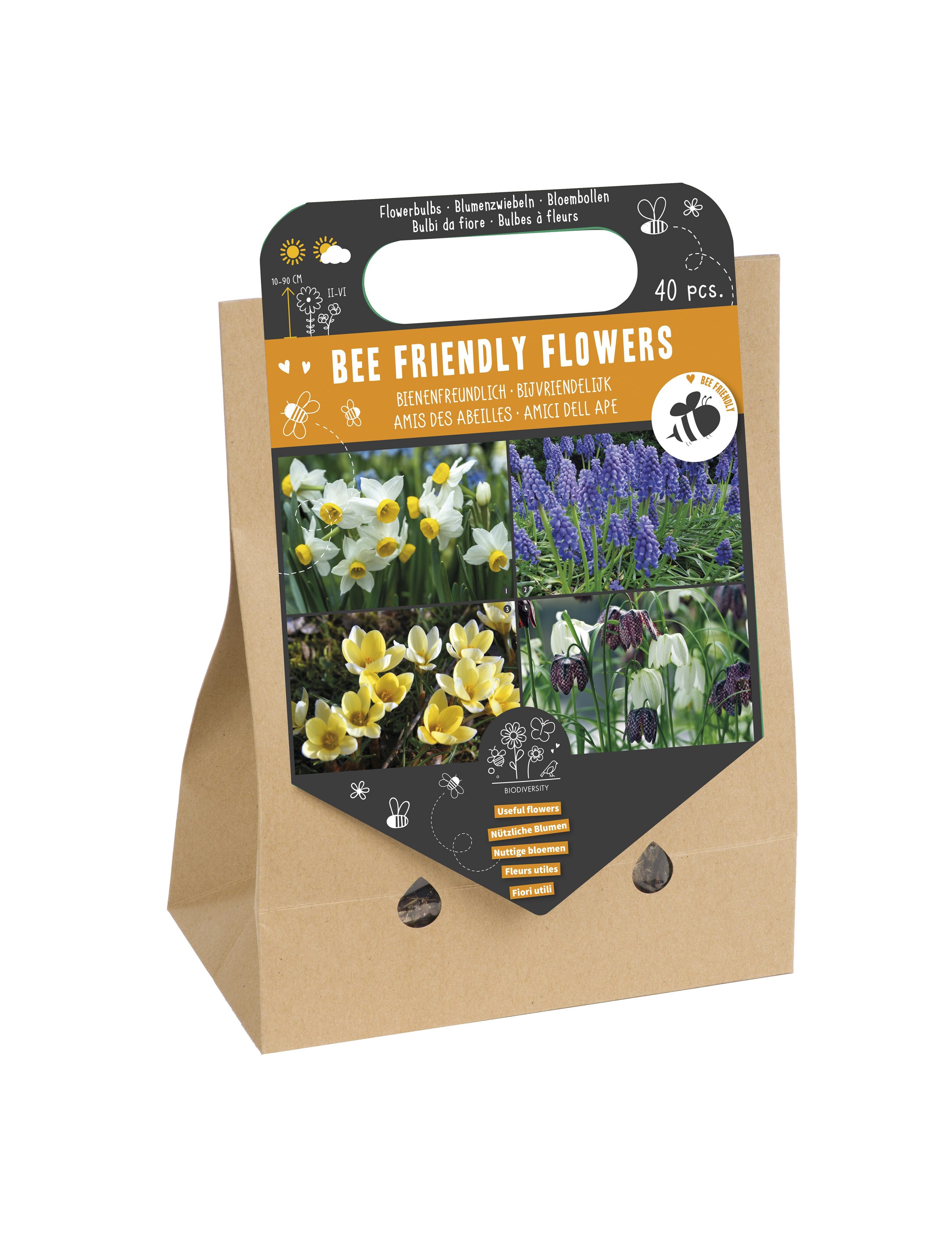 Tyrkisk Erantis løg, Eranthis Cilicica. Pakke med 15 løg | Plantorama