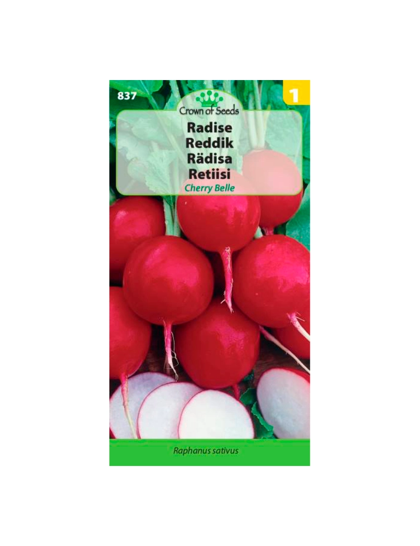 Radise, Cherry Belle | Plantorama