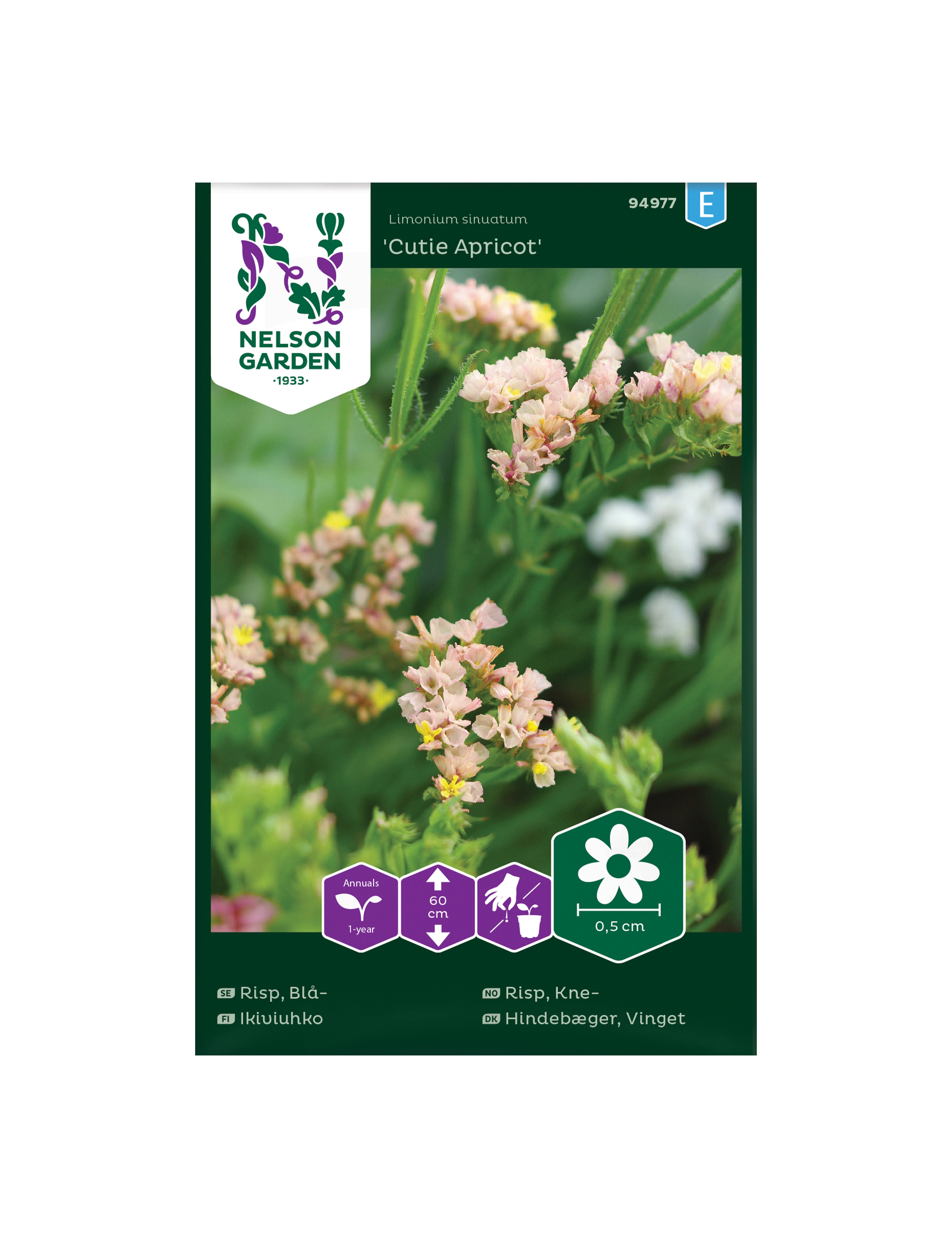 Hindebæger frø, Limonium sinuatum. 'Cutie Apricot' | Plantorama