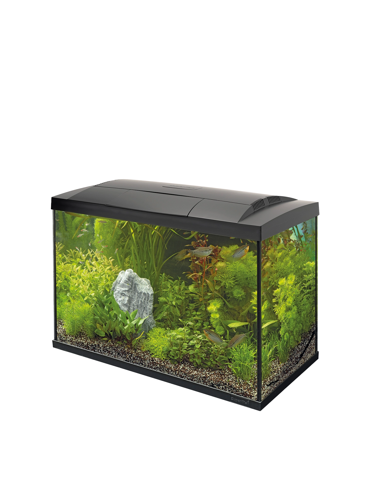 SuperFish Start 70 Tropical akvariestartsæt 60 L, L58xB30xH45 cm, sort ...