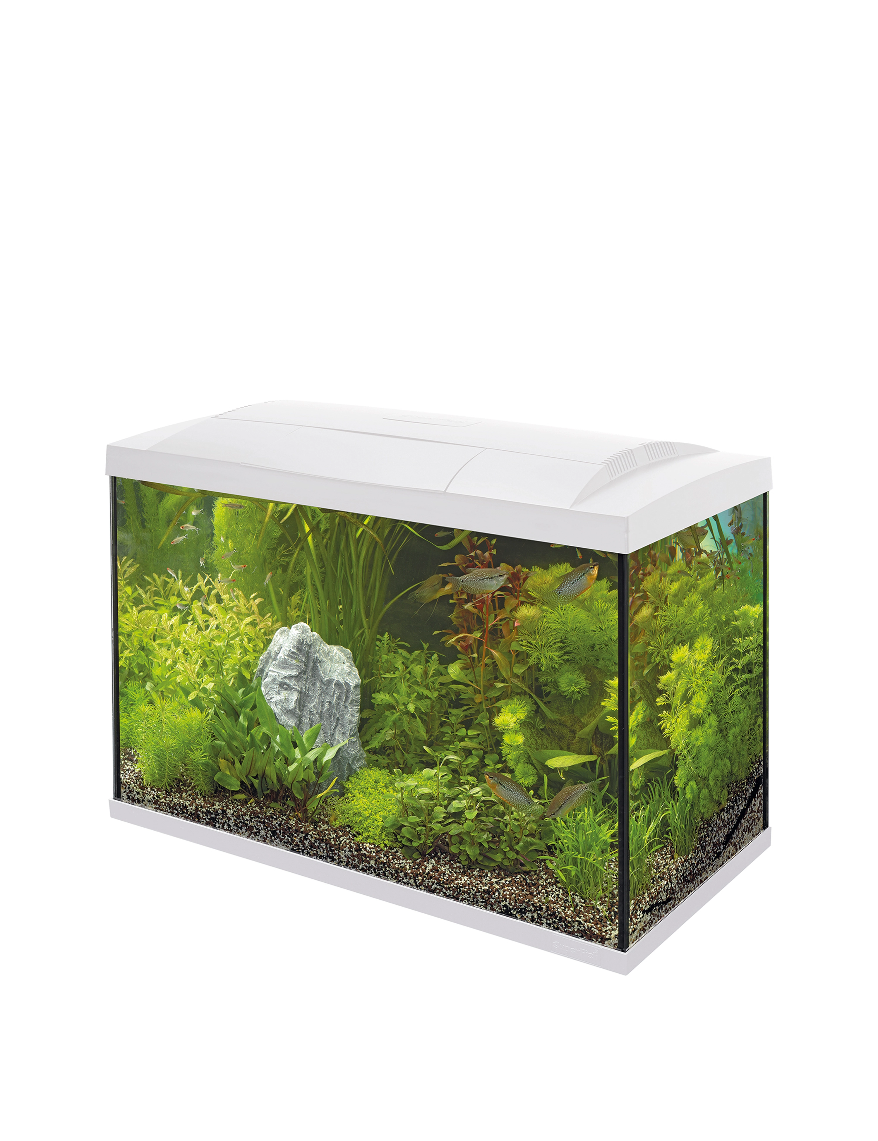 SuperFish Start 70 Tropical akvariestartsæt 60 L, L58xB30xH45 cm, hvid ...